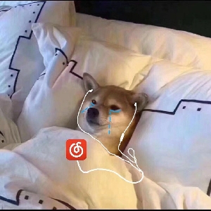 听书会 