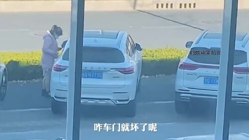 车门死活打不开?按到车都响了也白搭!