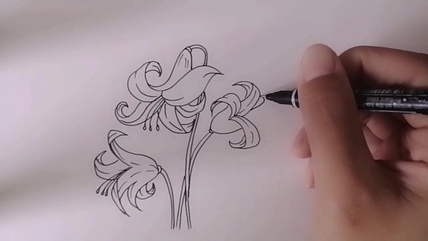 用简单的线条画出想要的图案