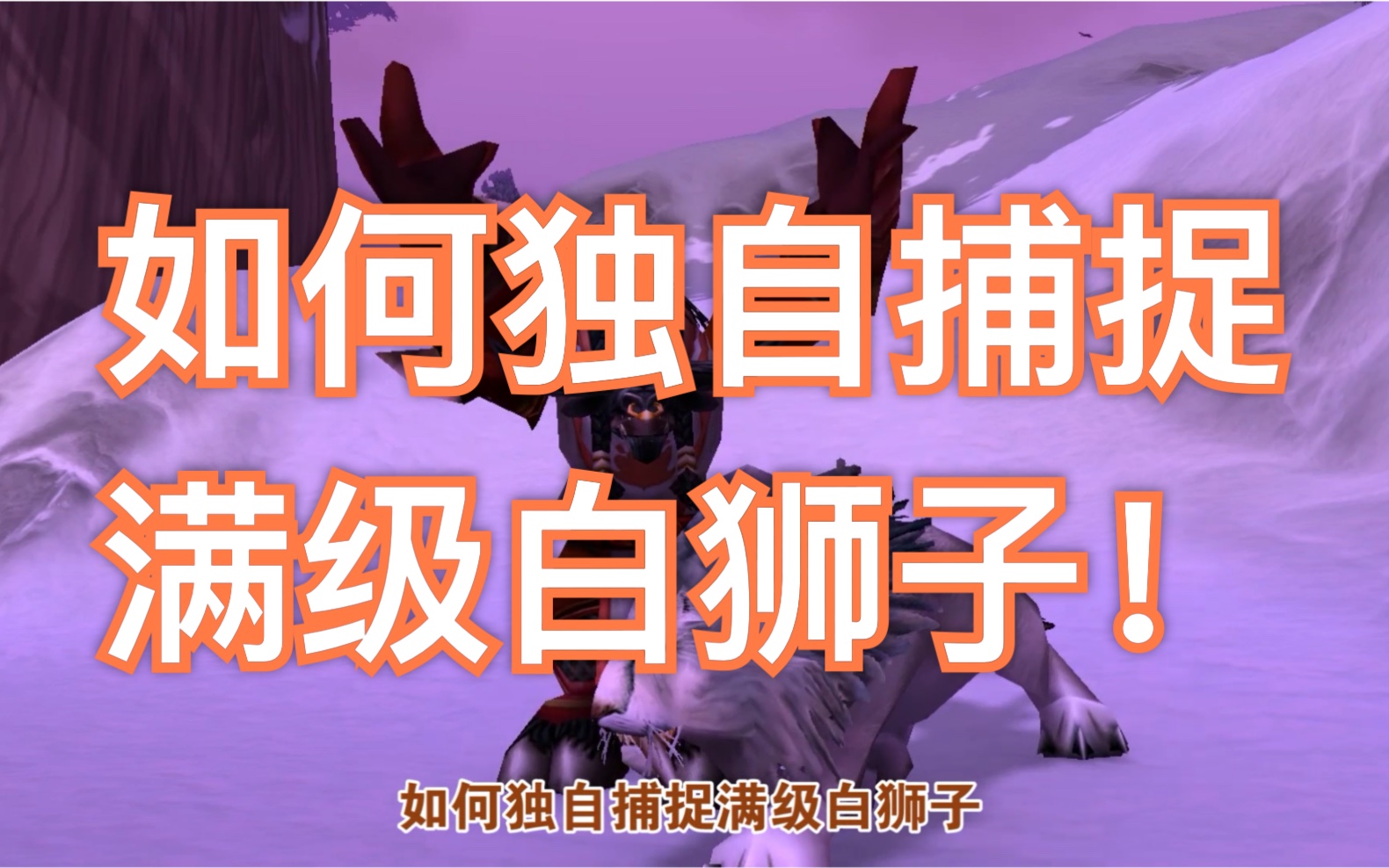 【超级牛】《怀旧服》捕捉满级白狮子!