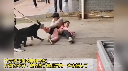 孩子被恶狗咬着腿不放打都打不开,被咬孩子最后哭的一声太揪心了