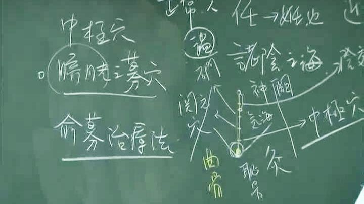 倪海厦:中极穴的作用,针和灸的用法