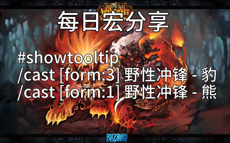 魔兽世界猫德PVP一键野性冲锋宏_魔兽世界