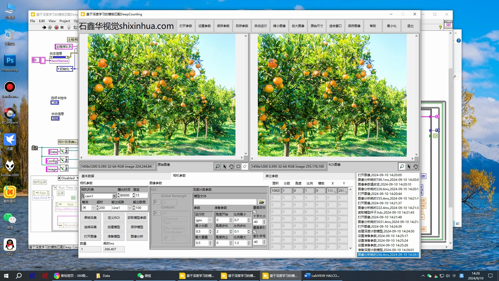 LabVIEW调用Halcon实现深度学习之DeepCounting