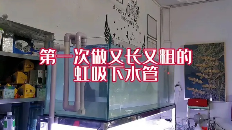 今天做了一个又长又粗的虹吸下水管,免打孔鱼缸底滤下水管制作