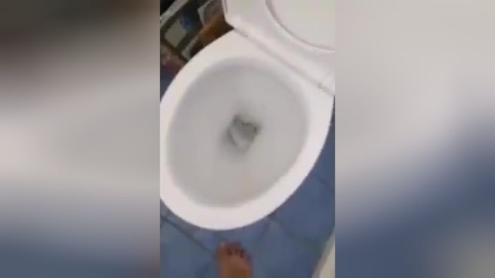 女子上厕所时发现马桶有点不对劲,男朋友过来水一冲吓坏了