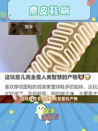 不沾水就能刷到的干干净净!#刷鞋神器 #麂皮鞋刷