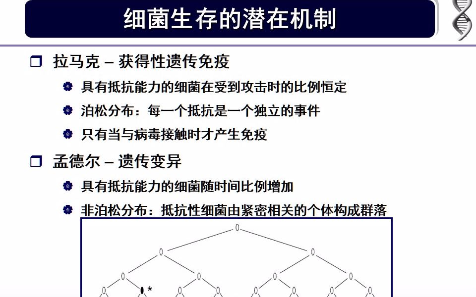 ...信息学》-薛宇-华中科技大学-第三章 序列分析的数学基础-第10节课