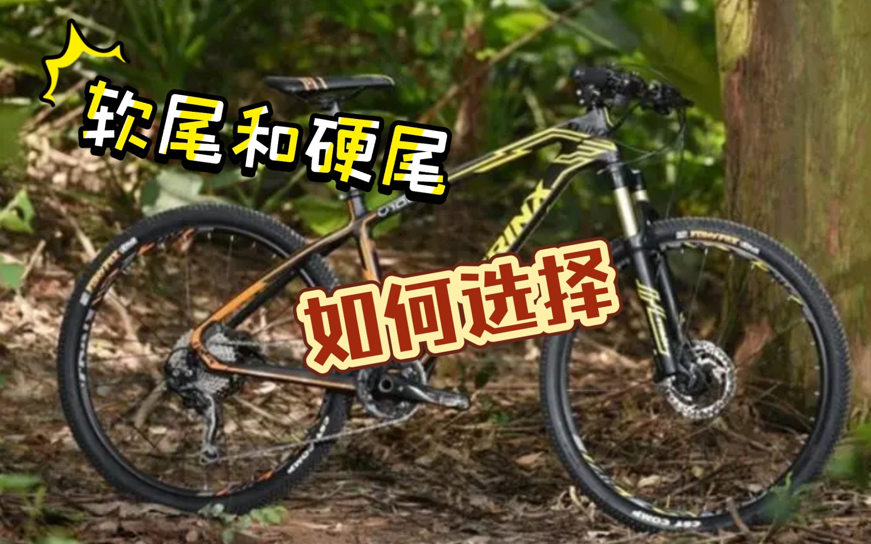 硬尾和软尾到底如何选择?