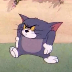 百事味的刘小叔 