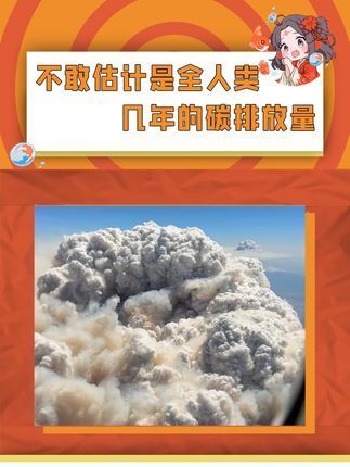 合着我们是来中和世界碳排放的(素材来源:@美国洛杉矶超哥 )#加州...