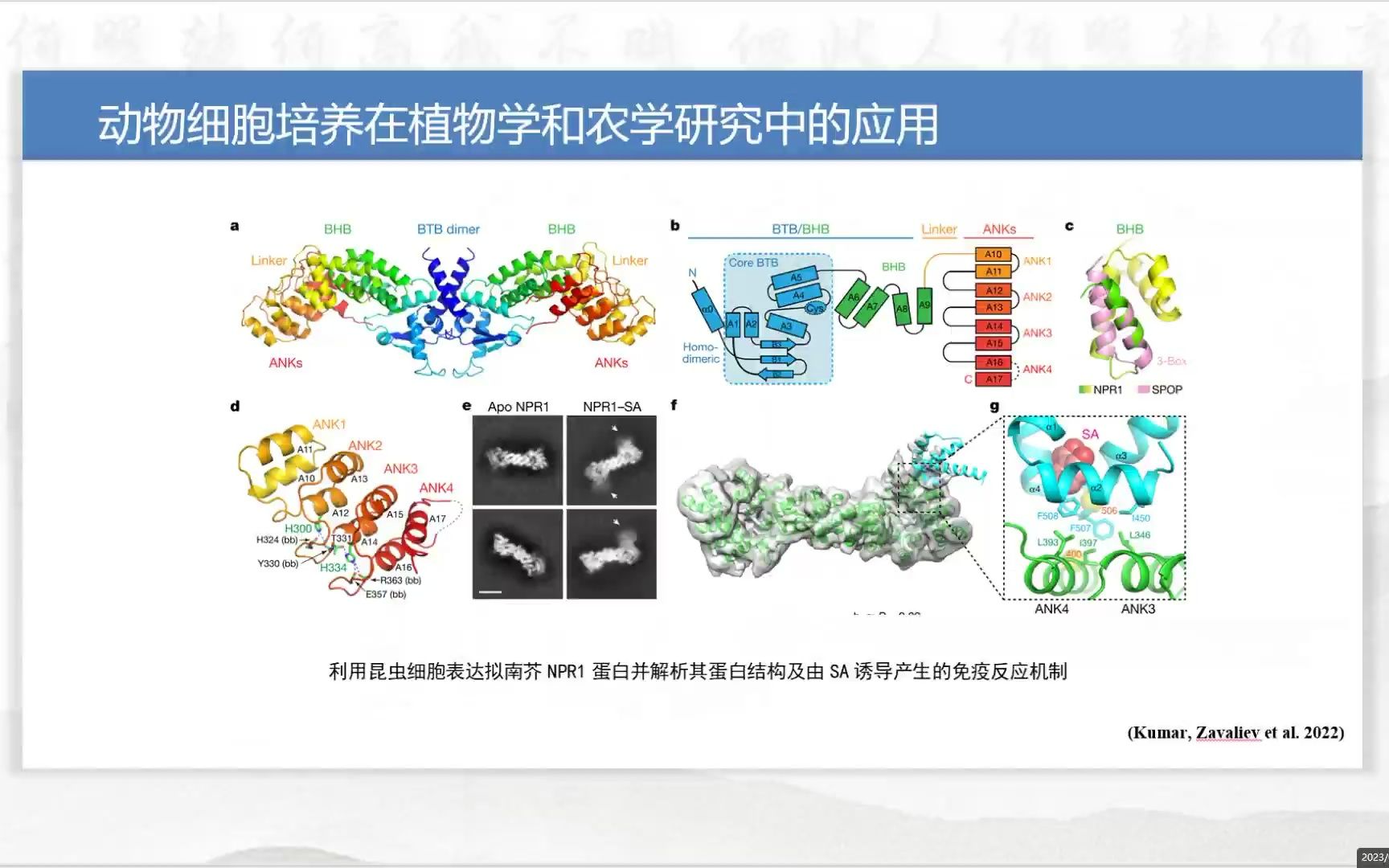 细胞培养基础知识介绍