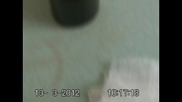 实验四 观察洋葱内表皮细胞