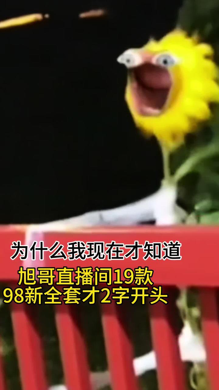 ...双系统 指纹 超轻超薄 2K视网膜2560*1600 #苹果 #办公笔记本电脑...