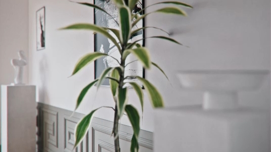 虚幻引擎室内三小时挑战 ue4 ue5 教程