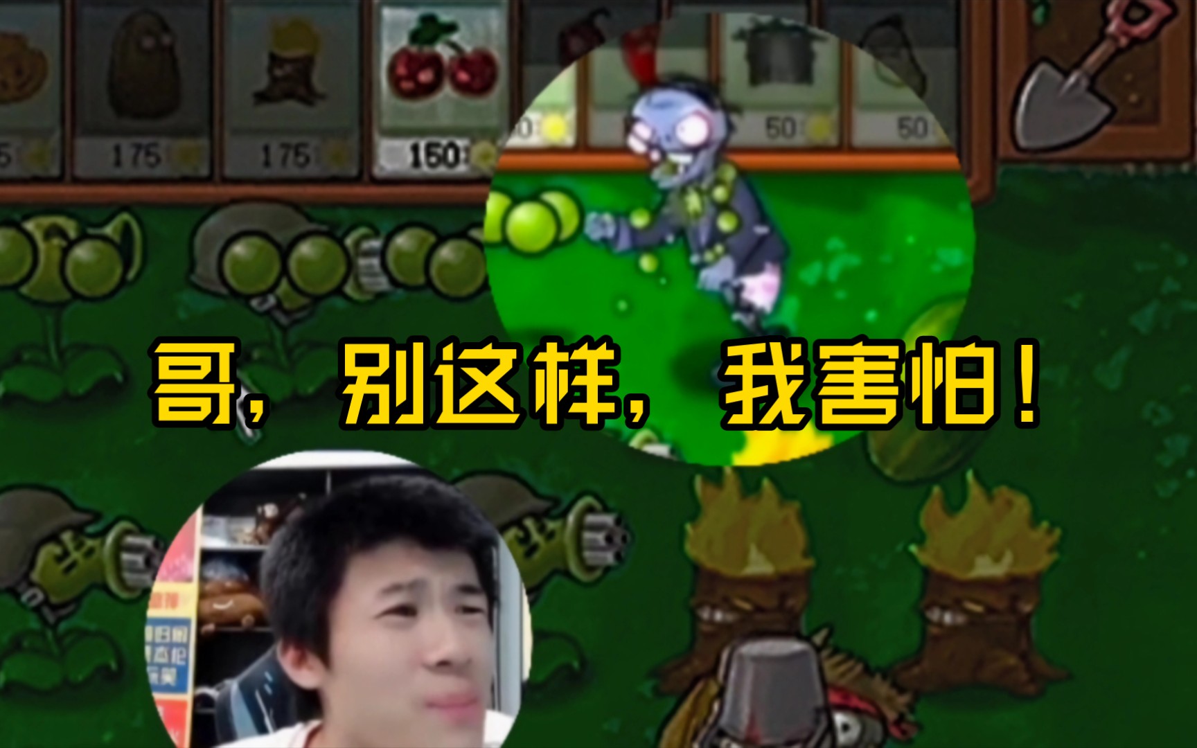 哥,别这样,我害怕!_植物大战僵尸