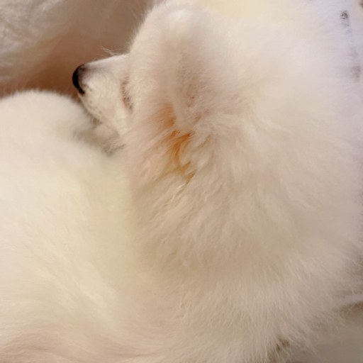 玉玉yuli 