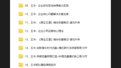 2024王冲视频课程全集商业模式盈利模式团队管理流量破局智慧