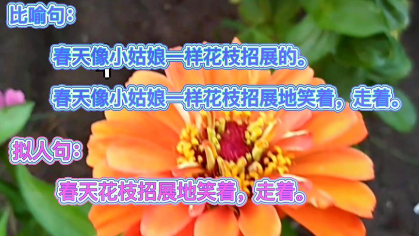 寓教于乐 (比喻句与拟人句的区别)这样比较容易好记 你信吗?