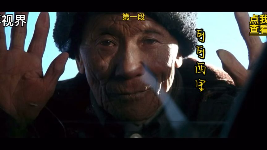 是什么样的信仰让这群志愿者竟用生命捍卫自然 #高分电影