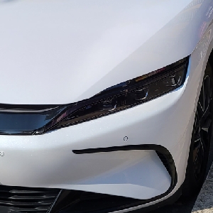 dengy14miami 