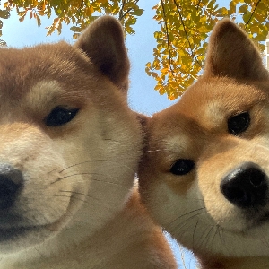 郁书远 