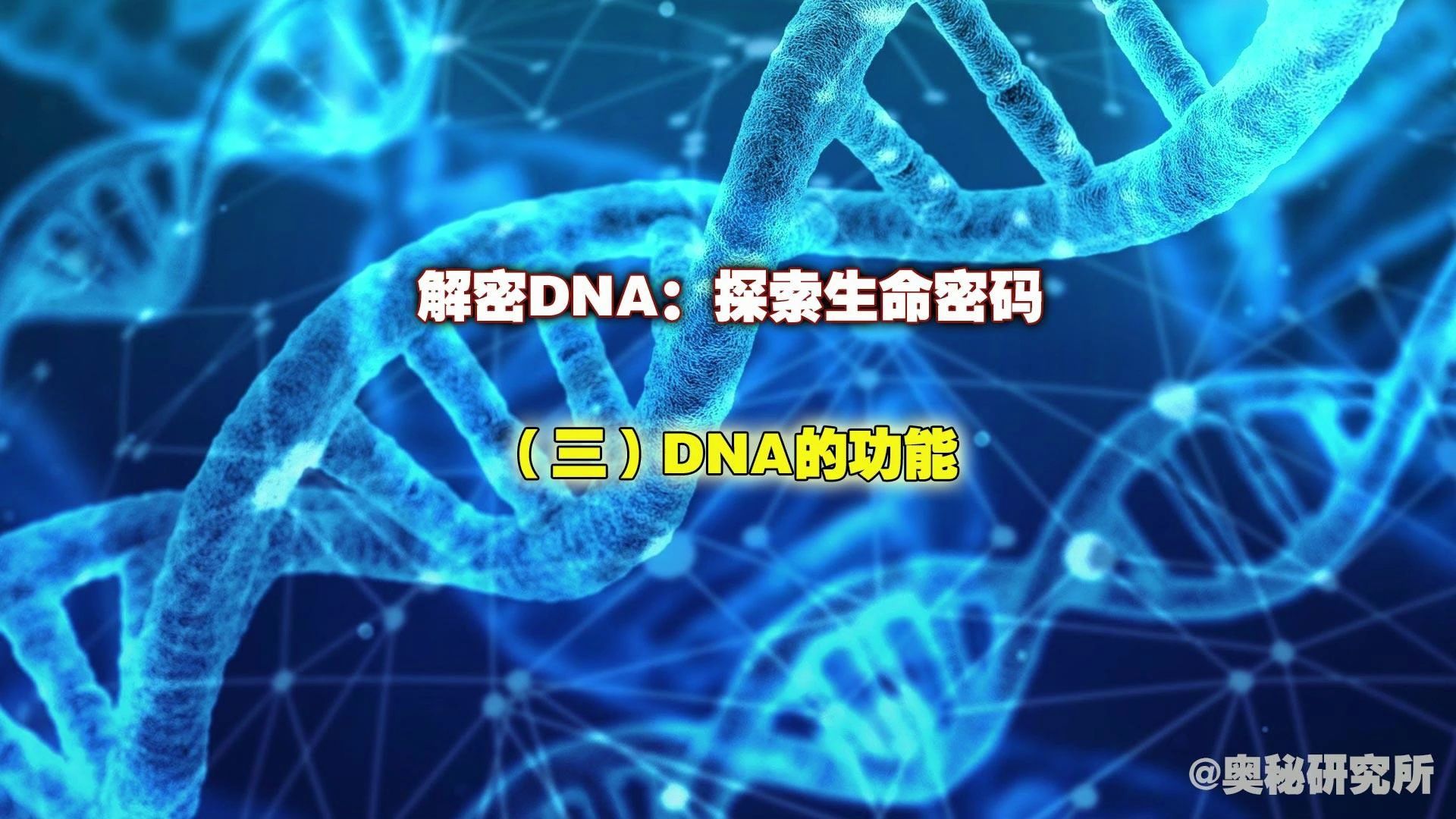 (三)DNA的功能