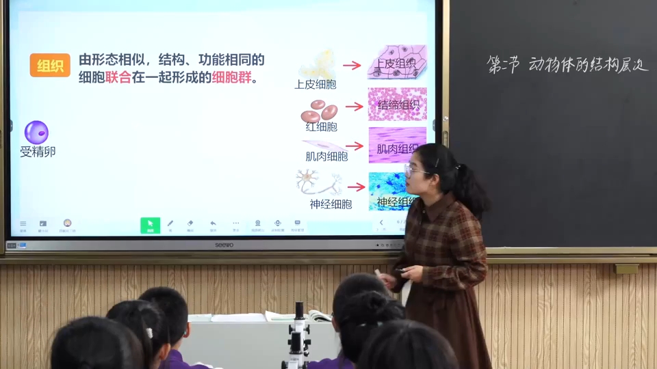 【省级优质课】人教版初中生物七年级上册《动物体的结构层次》新...