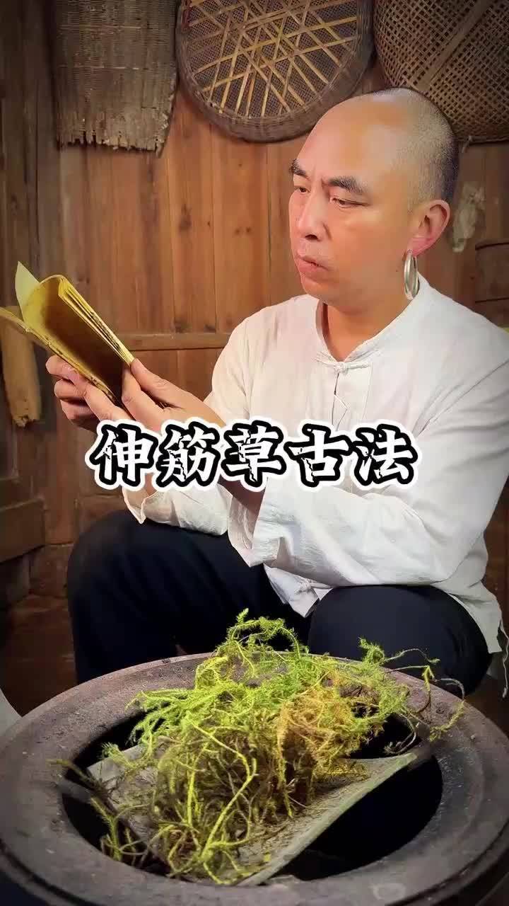 伸筋草 奶奶分享伸筋草的古法,很多东西经历岁月的洗礼.