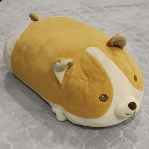 飞翔的靓苟 
