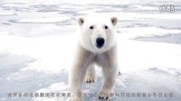 数字媒体艺术毕业论文设计作品--