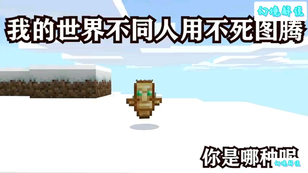 我的世界Minecraft不同的人使用不死图腾