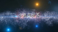 小鹿观世界独播:一首很久就是经典的歌《记事本》,好听,美味