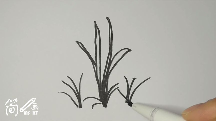 简笔画:这是韭菜还是水稻呢?