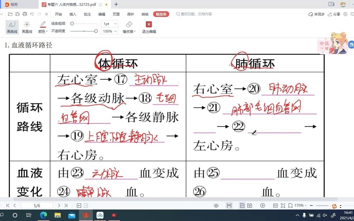 七年级下册 第四章 人体内血液循环的路径