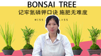 氮磷钾的作用口诀——这就是氮肥！