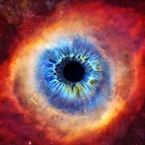 科学探知怪