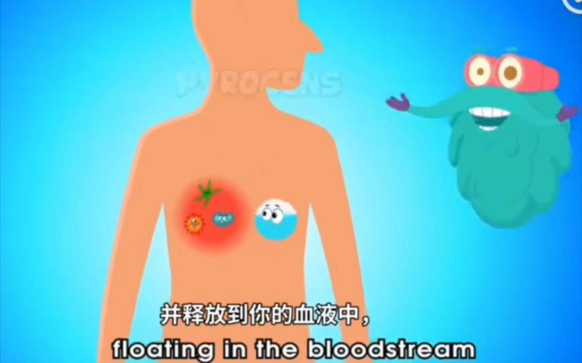 医学科普动画:我们为什么会发烧?