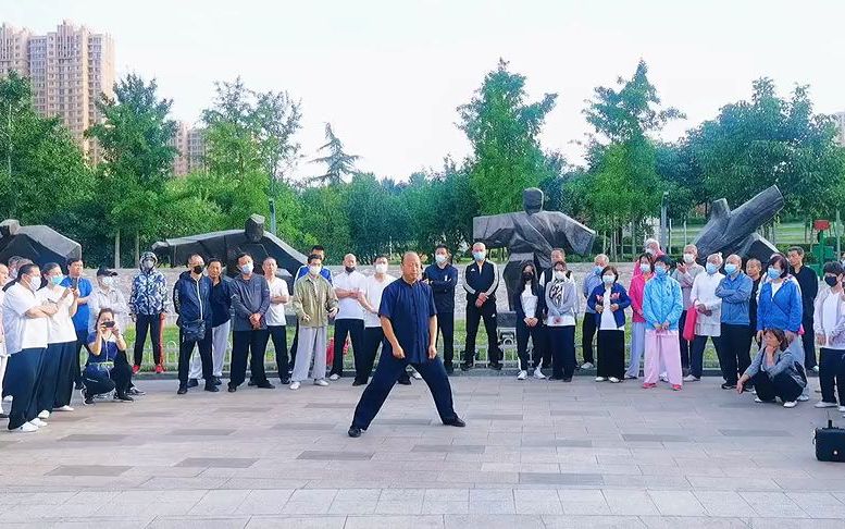 【14掩手肱锤15十字手16第三金刚捣碓】太极书院杨合发院长精讲老...
