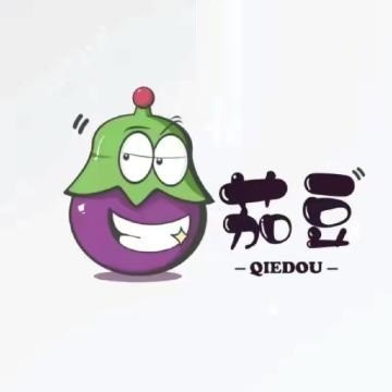 茄豆科技 