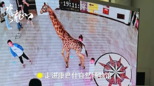 每一次走进自然博物馆,都是一次对未知的探索,对生命的敬畏