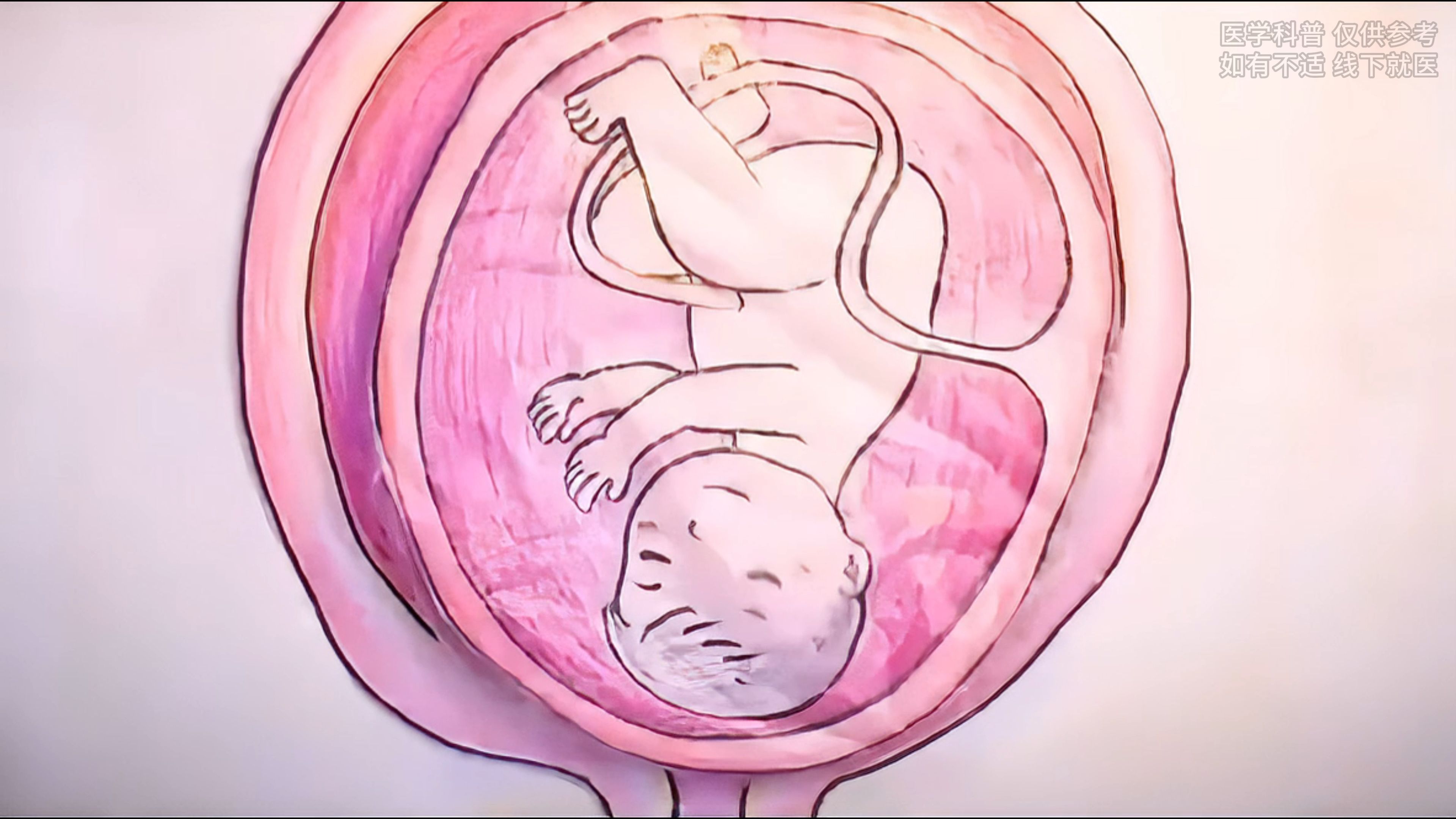 定格动画带你了解试管婴儿到底是怎么做的!