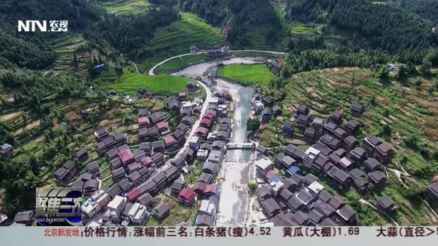 两会热议话题,乡村垃圾啥现状?你们村是这样吗?