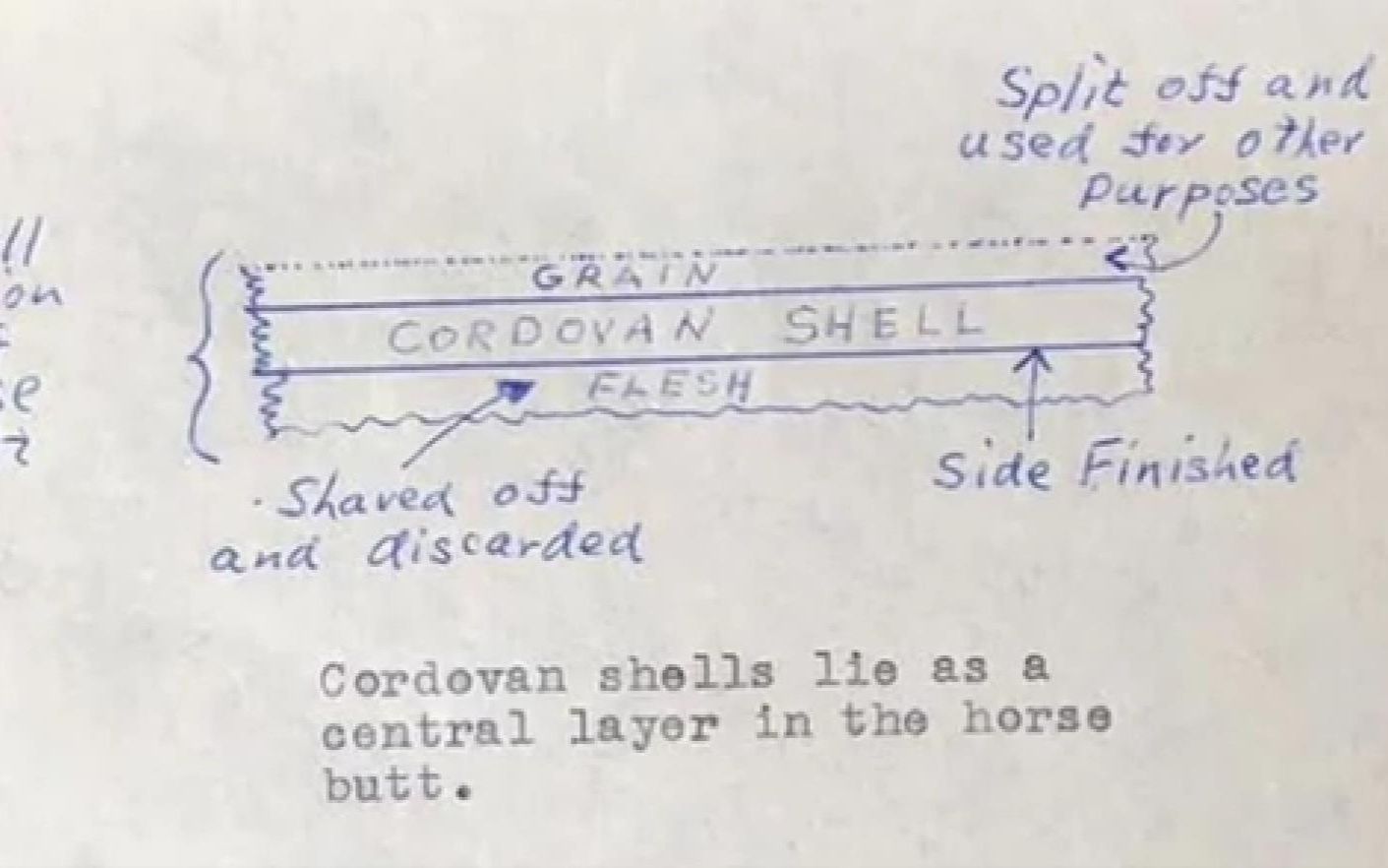 马臀皮shell cordovan 与其他马皮种类(horsebutt/horserump/horsefront等...
