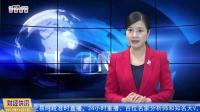 特斯拉CEO: 距离在中国生产电动车还有三年时间