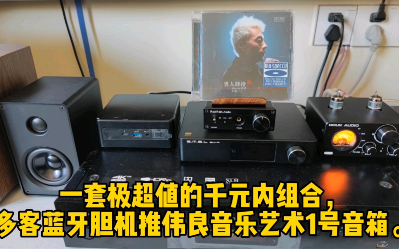 一套极超值的千元内组合,多客蓝牙胆机推伟良音乐艺术1号音箱。