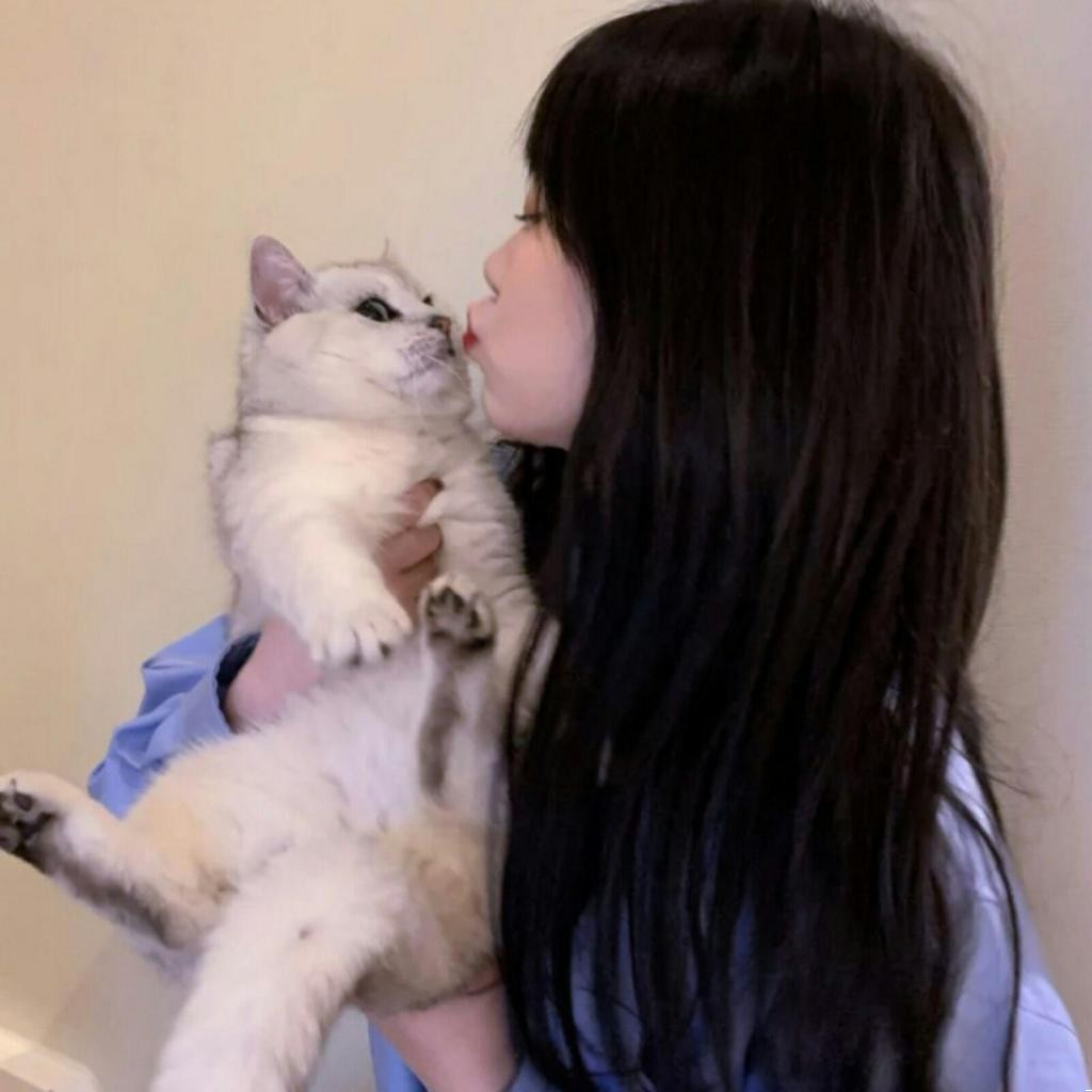 文秘写作小管家 