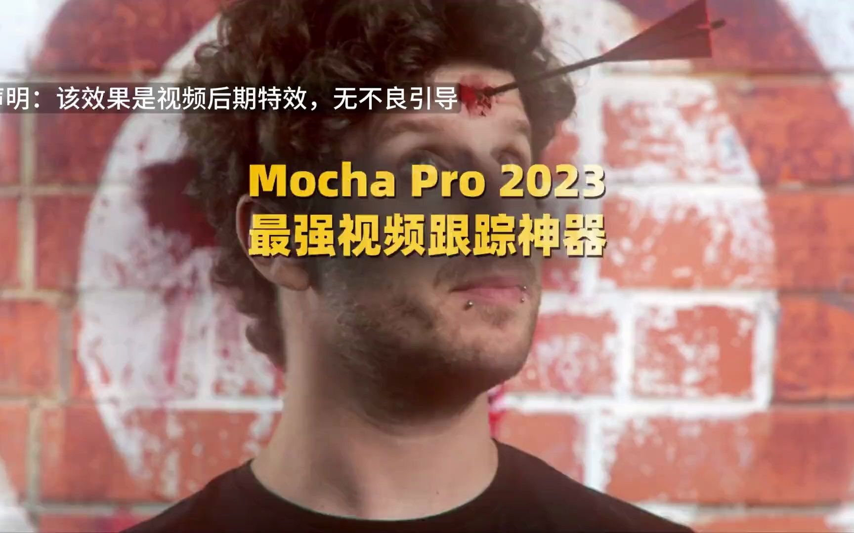 ...涵盖平面运动跟踪、轮廓绘画、物体移除、图像稳定支持win和mac