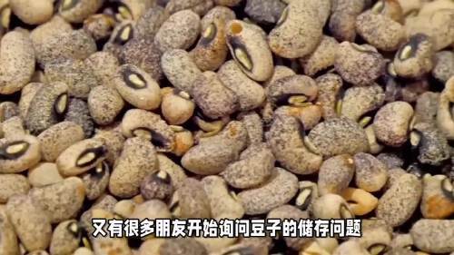 咖啡豆放进冰箱能放多久?冷冻咖啡豆需要注意什么?