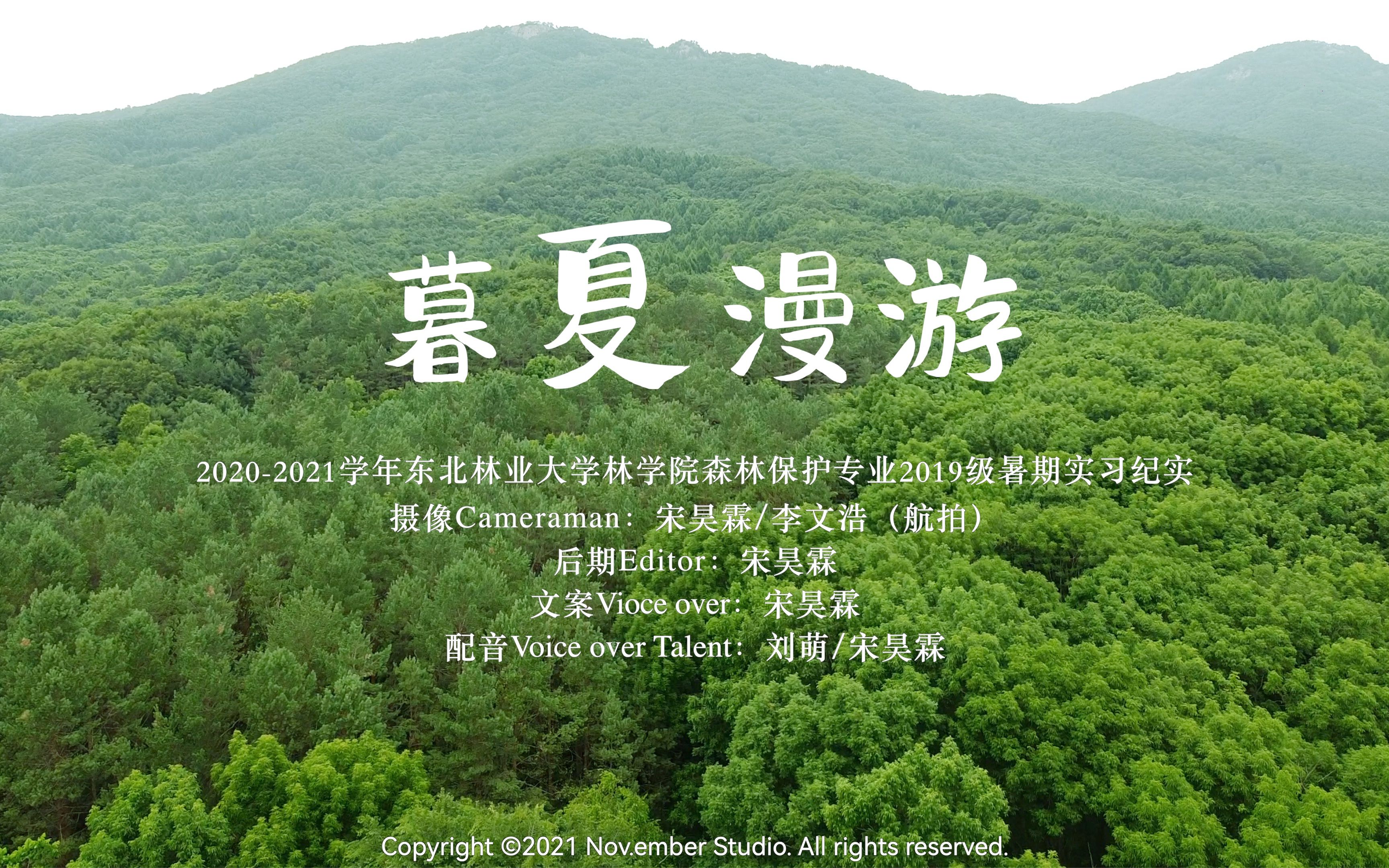 暮夏漫游|东北林业大学2019级森林保护专业实习纪实|帽儿山实验林场